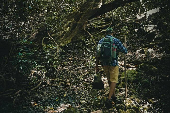 Private Overnight Adventure Tour to Knuckles and Meemure Village with Camping - FAQ