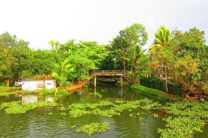 Private Overnight Backwaters Houseboat Cruise in Alleppey - Setting the Scene: What the Experience Looks Like