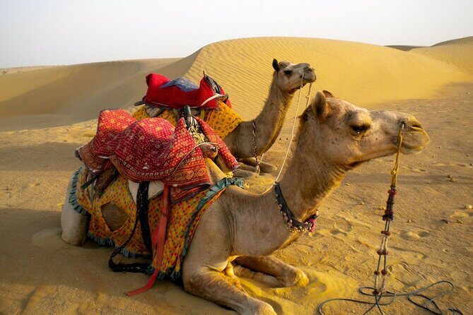 Private Overnight Safari Tour with Camel Ride - The Itinerary: What to Expect from This Camel Safari