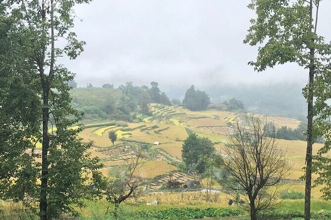 Private Overnight Tour to Yuanyang Rice Terraces from Kunming - Frequently Asked Questions
