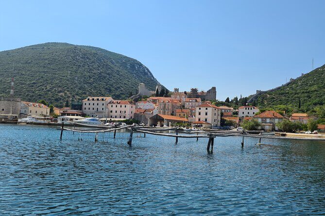 Private Oyster and Wine Tasting Day Trip along Peljesac - Final Thoughts