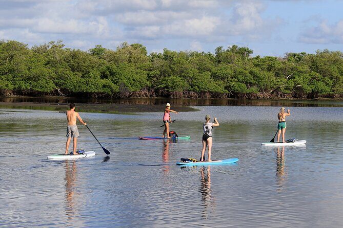 Private PADDLE-BOARD and YACHT Adventure - Authentic Feedback from Past Travelers