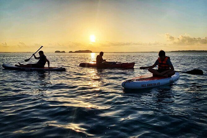 Private Paddle Tour at Sunrise - Final Thoughts: Who Is This Tour Best For?