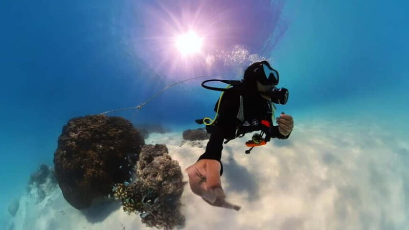 Private Padi Open water diver course - Introduction: A Great Introduction to the Underwater World