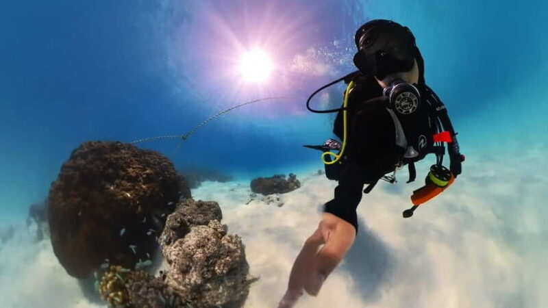 Private Padi Open water diver course - The Dive Course Itinerary and Experience