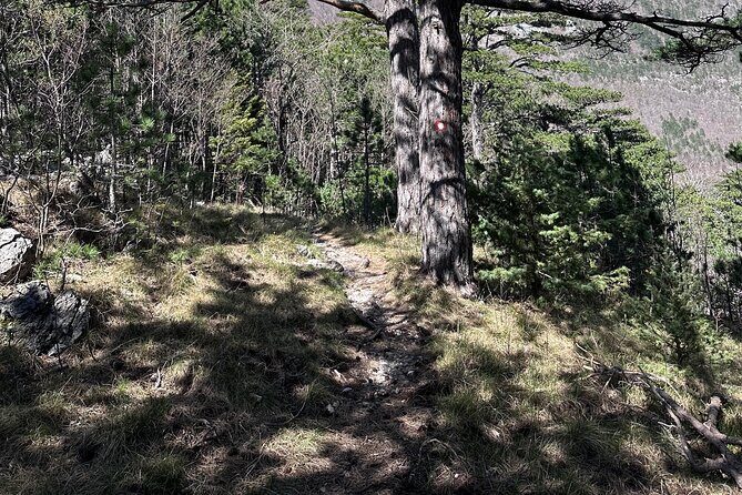 Private Paklenica Hiking Tour from Zadar up to 8 people - FAQ