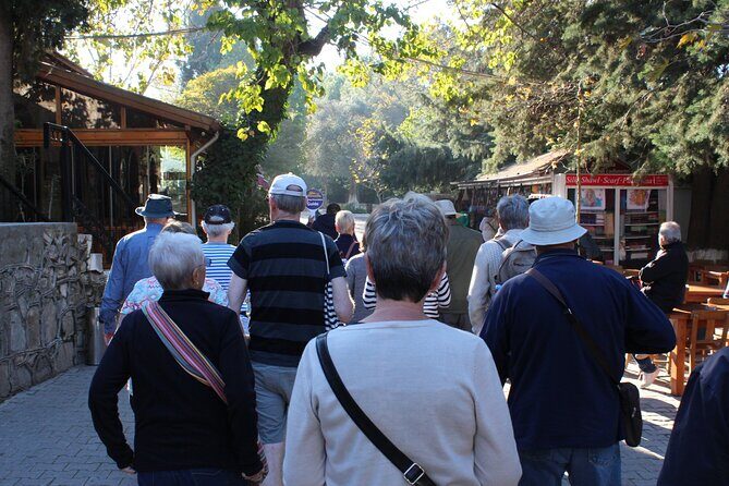 Private Panaromic Ephesus & Surroundings with Small Group Option - What to Expect from This Ephesus Tour