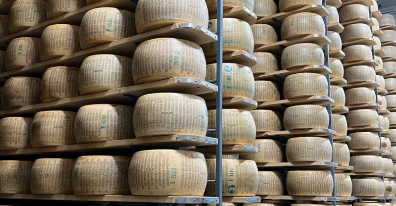 Private Parmigiano Reggiano, Prosciutto and Balsamico tour - Who Should Consider This Tour?