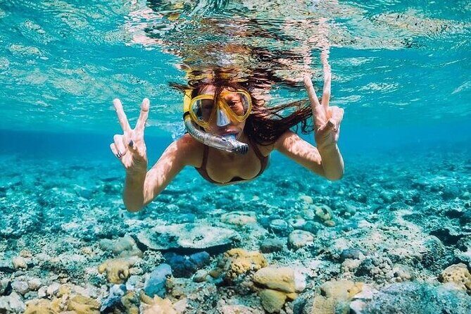 Private Party Boat with Snorkeling in Playa Bibijagua - Why Choose a Private Boat Tour?