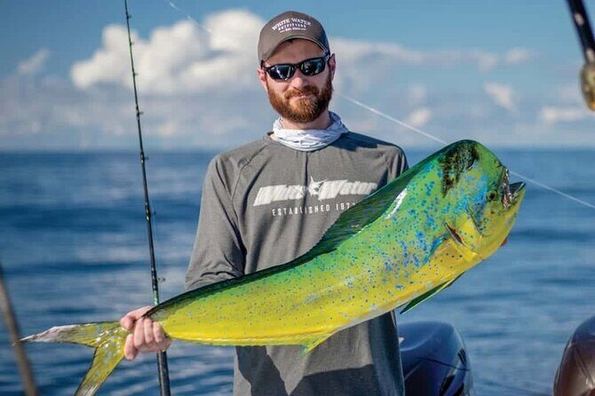 Private Patch Reef Fishing - Introduction