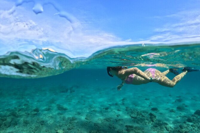 Private Peanut Island Boat & Snorkel Tour - The Key Points