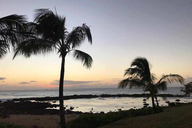 Private Pearl Harbor & North Shore tour (Se habla Español) - What Makes This Tour Stand Out?