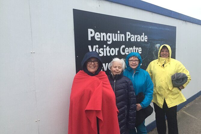Private Penguin Tour includes Tour Guide & Penguin Plus Tickets - A Close Look at the Experience