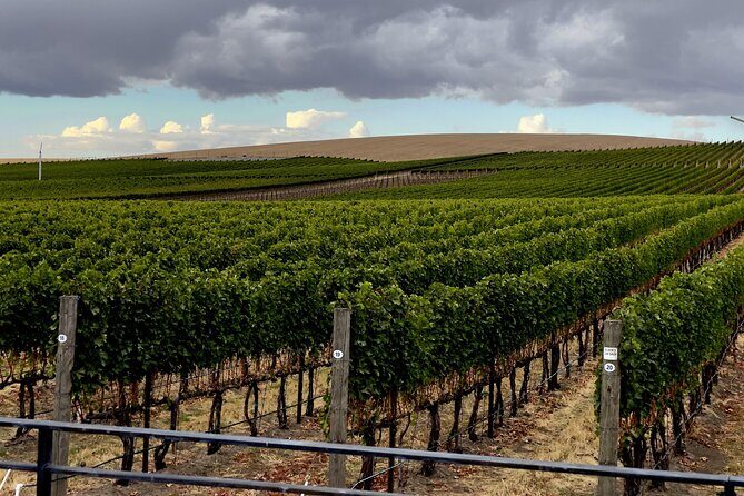 Private Personal Winery Tours in Walla Walla - Final Thoughts