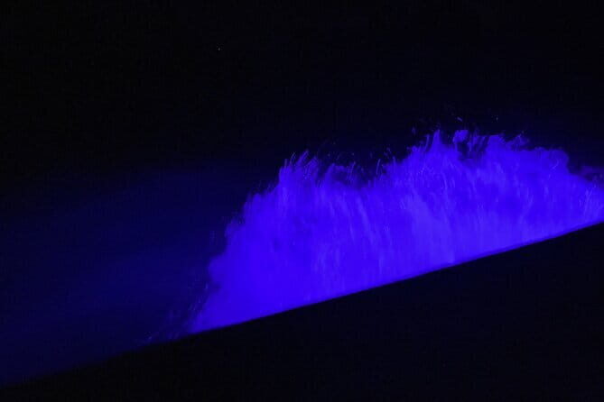 Private Phang Nga Bay Tour with Planktons Swim - Key Points