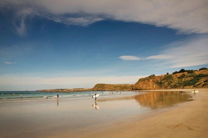 Private Phillip Island Penguin Parade Tour - The Sum Up: Who Gets the Most Out of This Tour?