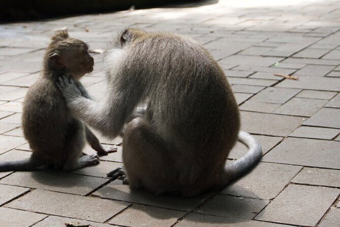 Private Photo and Video Session in Bali - A Closer Look at the Itinerary