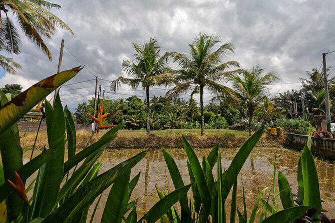 Private Photo and Video Session in Bali - The Sum Up