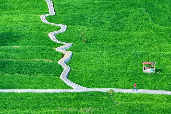 Private Photography Trip 3 Days 2 Nights With Accommodation - An In-Depth Look at the 3-Day Trip to Minangkabau