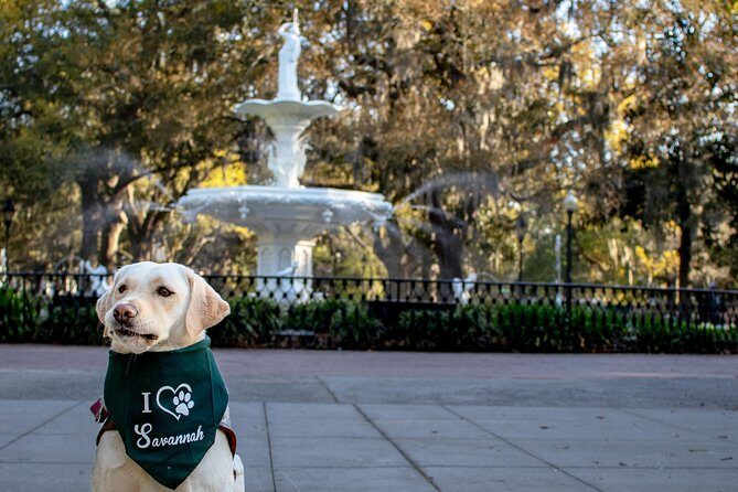 Private Photoshoot in Savannah, GA - Authentic Feedback from Travelers