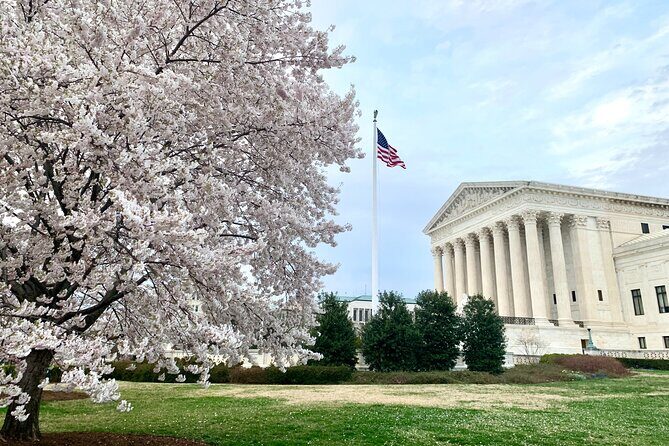 Private Photoshoot Outside the White House & Supreme Court - A Closer Look at the Photoshoot Experience