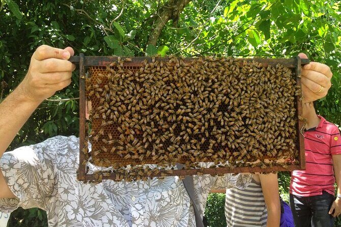 Private Phuket City Sightseeing Tour - Final Thoughts