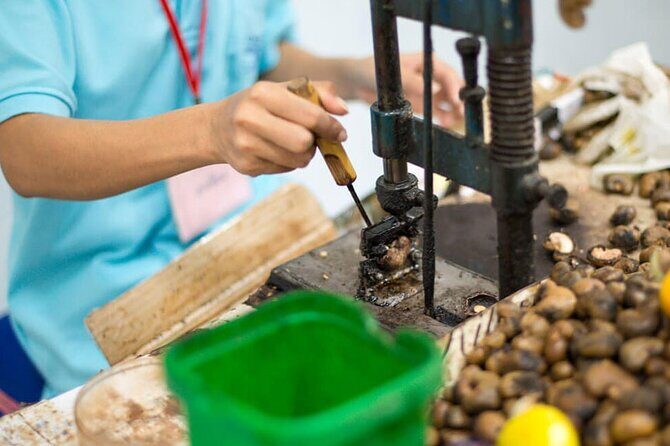 Private Phuket City Sightseeing Tour - FAQ