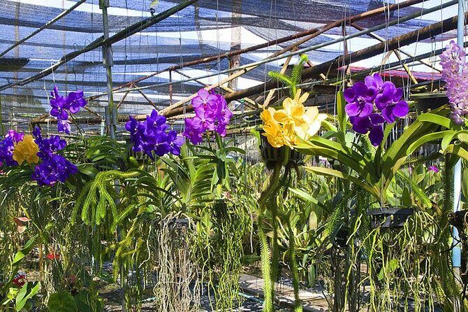 Private Phuket City Sightseeing Tour - Final Words