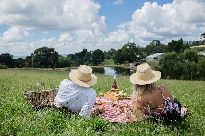 Private Picnic Lunch Experience in Orange with Wine - Key Points