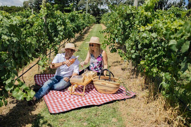 Private Picnic Lunch Experience in Orange with Wine - Concluding Thoughts