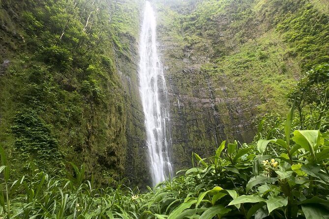 Private Pipiwai Trail Maui Open-Air Jeep Tour - Who Will Love This Tour?