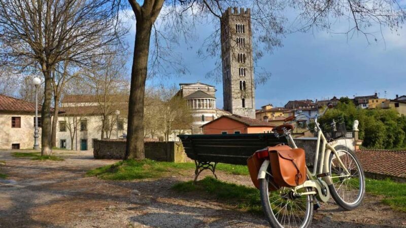 Private Pisa & Lucca Tour from Florence - A Detailed Breakdown of the Experience