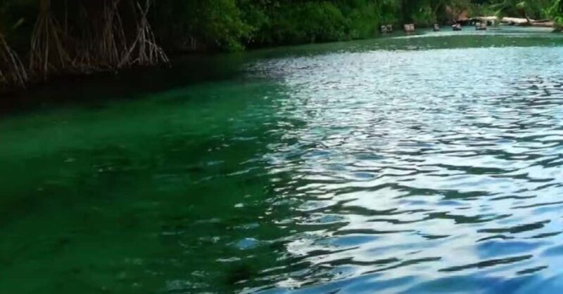 Private: Playa Rincón Samaná Levantado Full-Day Excursion - Frequently Asked Questions