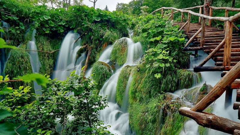 Private Plitvice Lakes and Zadar Tour with Lunch from Split - A Detailed Look at What to Expect