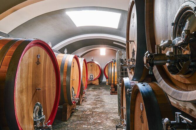 Private Pompeii, Herculaneum and Winery Tour from Naples - Practical Details and What to Keep in Mind