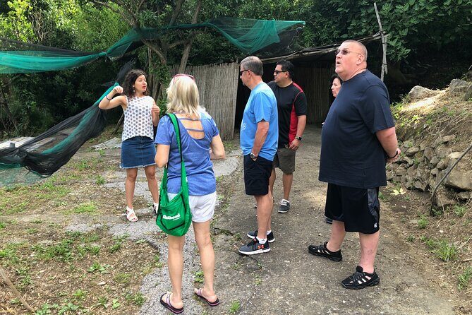 Private Pompeii Tour with lunch and Olive Oil Factory Experience - Timing and Planning