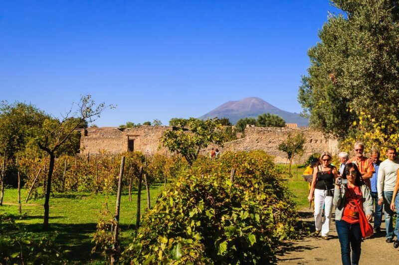 Private Pompeii & Vesuvius Wine Tasting Tour - Key Points