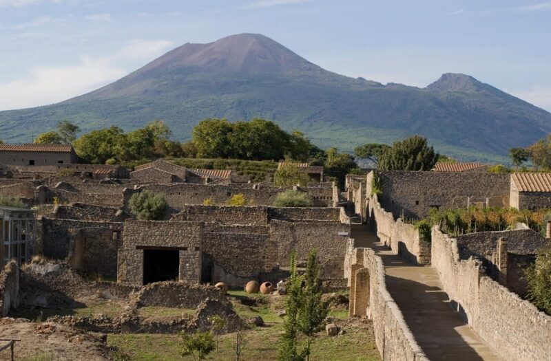 Private Pompeii & Vesuvius Wine Tasting Tour - What Makes This Tour Stand Out