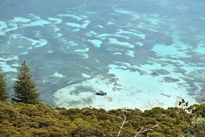 Private Port Stephens Day Trip from Sydney incl Dolphin Cruise - Nelson Bay and the Dolphin Cruise