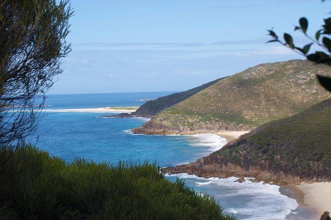 Private Port Stephens Day Trip from Sydney incl Dolphin Cruise - Practical Aspects and Value