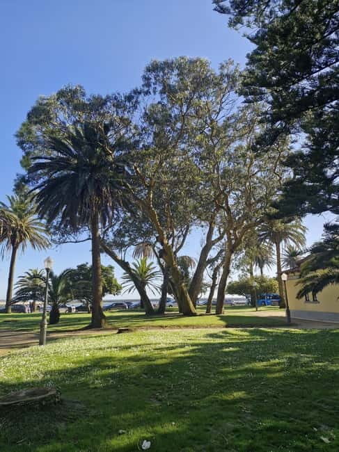 Private Porto City Tour with Seafood Lunch and Coastal Views - An Authentic Taste of Portos Coastal Charm and Cultural Heart