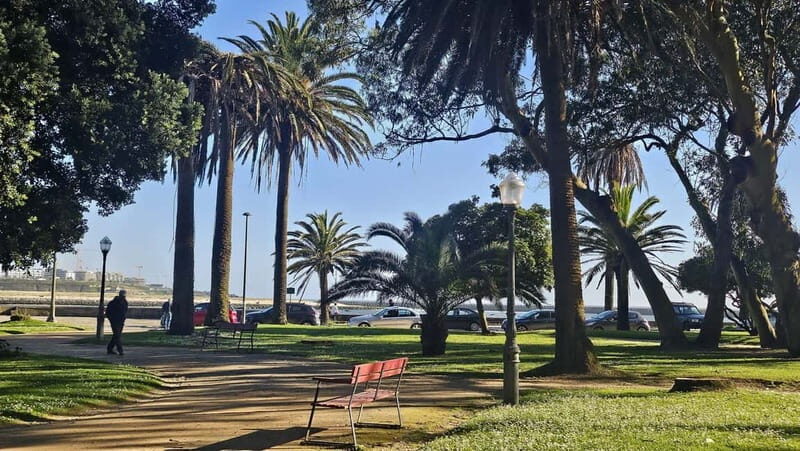 Private Porto City Tour with Seafood Lunch and Coastal Views - The Value of This Experience