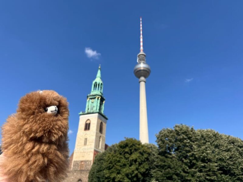 Private Potsdam Highlights: Half-Day Guided Tour Experience - Breakdown of the Main Attractions
