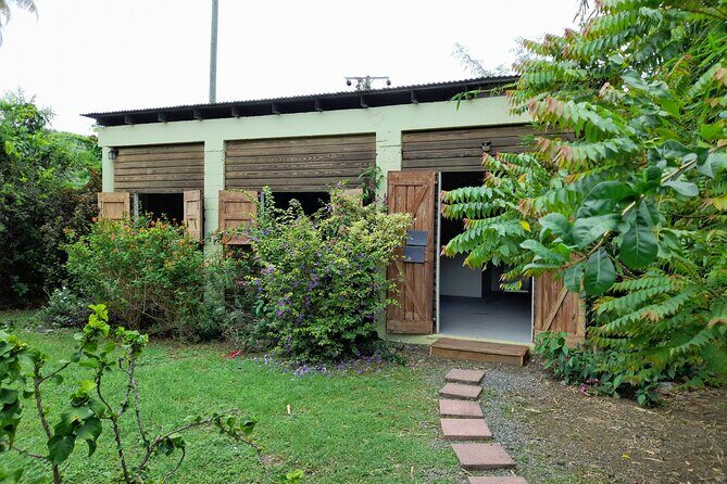 Private Pottery Experience at British Virgin Islands - Final Thoughts