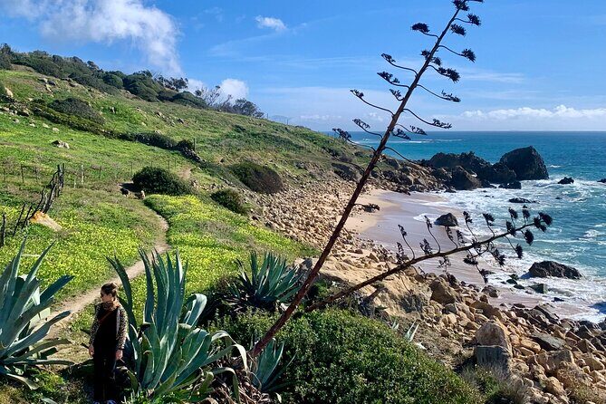 Private Prehistoric and Ancient Tour in Strait Natural Park - Key Points
