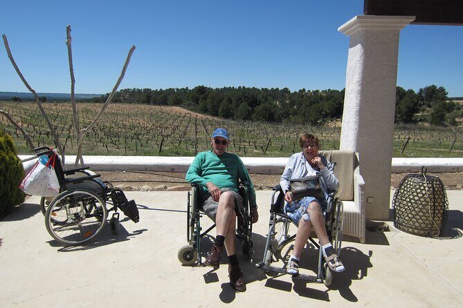 Private, premium: 3 wineries in Valencia region + winery lunch - Itinerary Breakdown: A Step-by-Step Journey into Valencia’s Wine Scene
