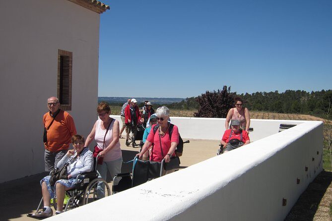 Private, premium: 3 wineries in Valencia region + winery lunch - Authentic Experiences and Local Flavor