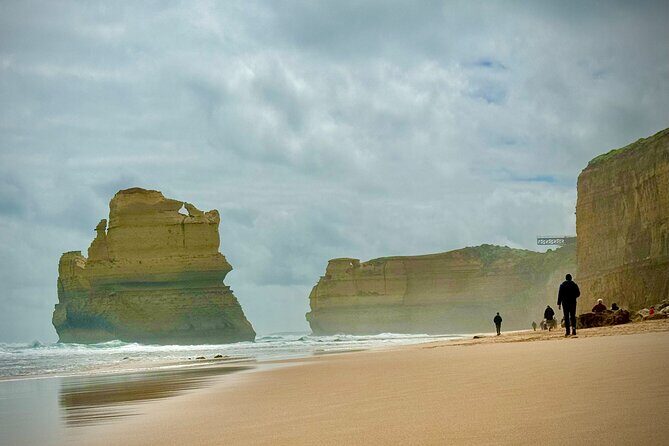 Private Premium Great Ocean Road with Lunch & Wildlife spotting - Who Will Benefit Most from This Tour?