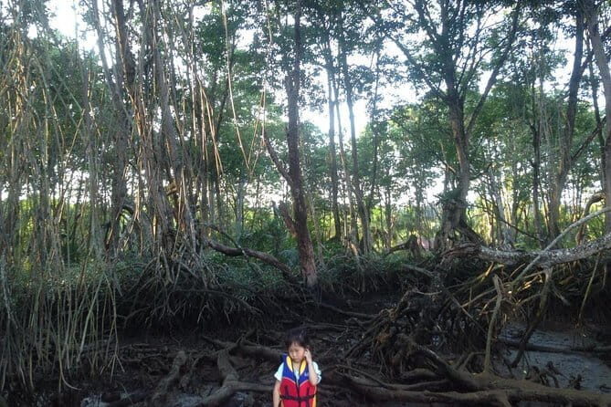 Private Proboscis Monkey Tour - FAQ