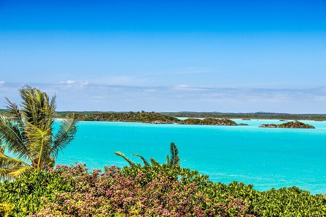Private Providenciales Island Tours of Turks and Caicos - Itinerary Breakdown: What to Expect